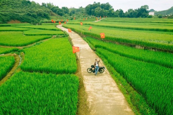 Đồng lúa Suối Lìn, Vân Hồ đẹp mê man trên KDLQG Mộc Châu - DU LỊCH MỘC ...