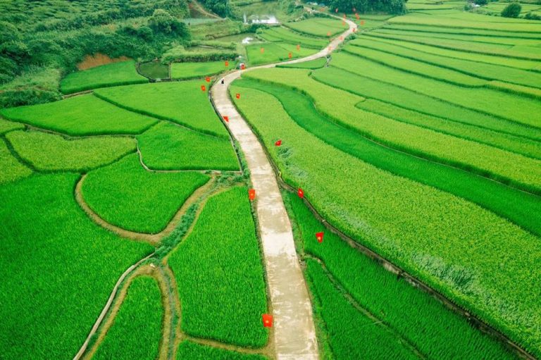 Đồng lúa Suối Lìn, Vân Hồ đẹp mê man trên KDLQG Mộc Châu - DU LỊCH MỘC ...